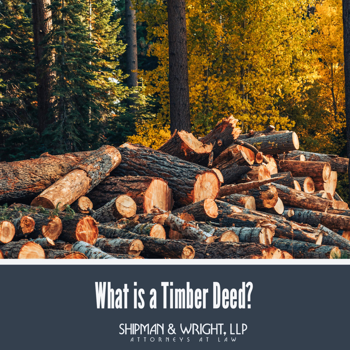 What is a timber deed?